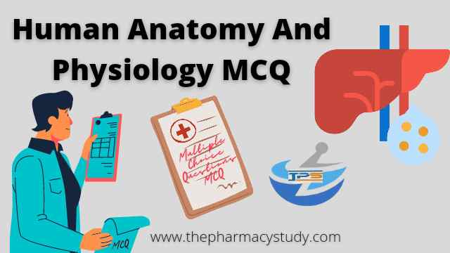 Human Anatomy And Physiology MCQ With Answers Free Pdf In 2023 Human Anatomy And Physiology MCQ With Answers Free Pdf In 2023